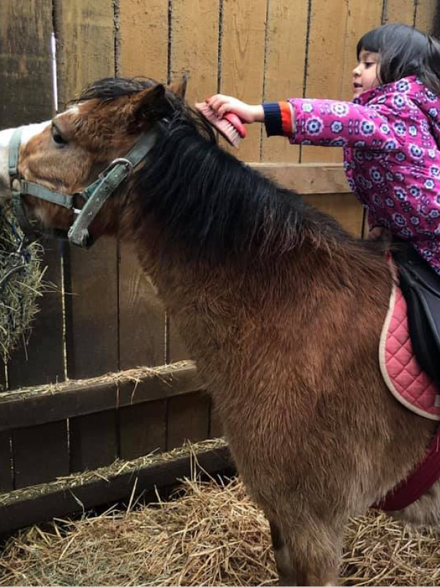 The Children's Farm – loving farm life